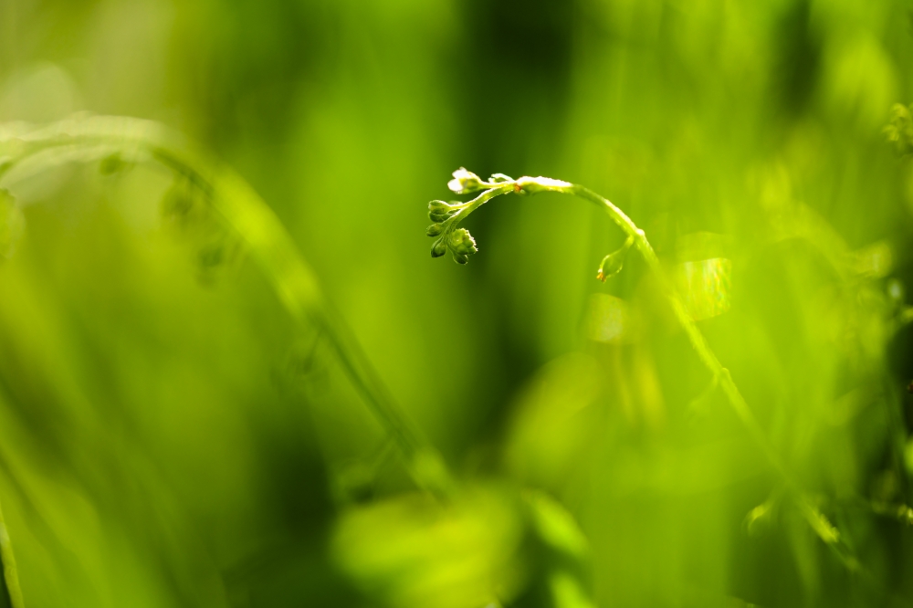 寸草悠悠 - 呼叫罗盘 - 富士胶片影赛- FUJIFILM