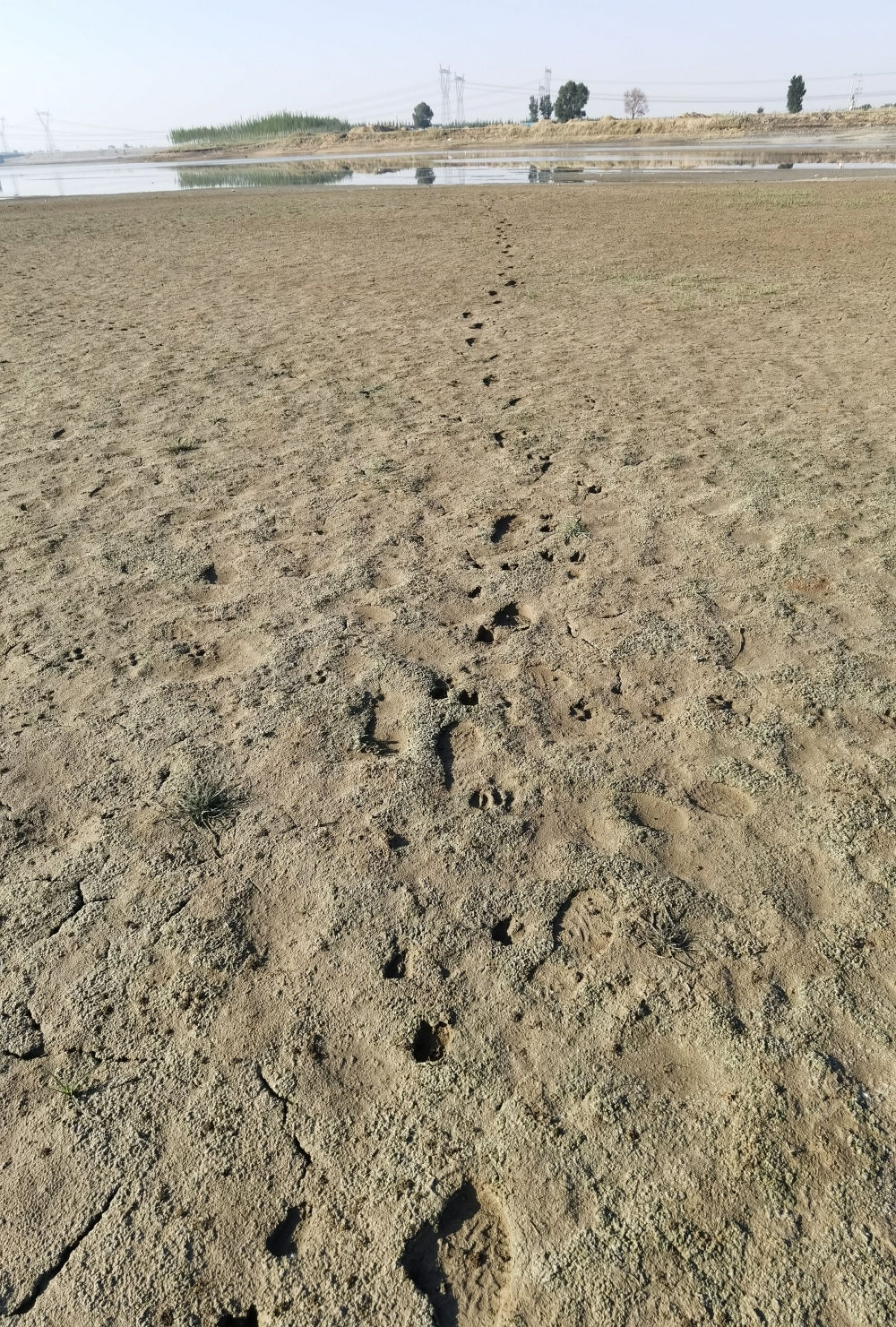 尽头 - 王言 - 富士胶片影赛- FUJIFILM