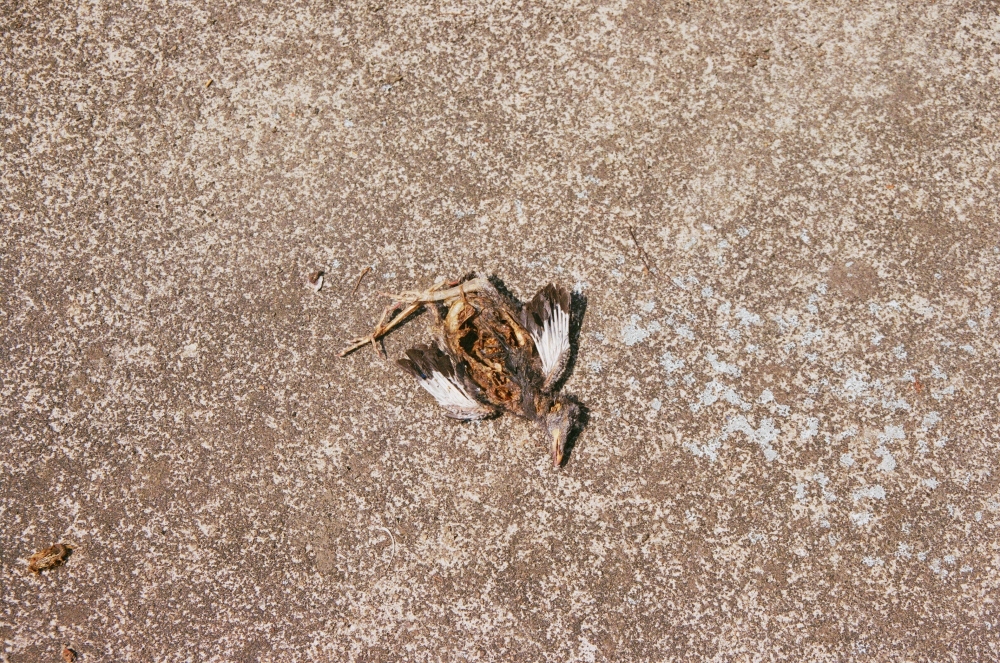 WETDREAM - Yup - 富士（中国）极致影像- FUJIFILM