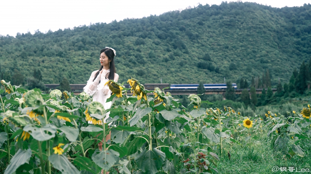 小清新 - 钢哥_Pxd - 富士胶片影赛- FUJIFILM