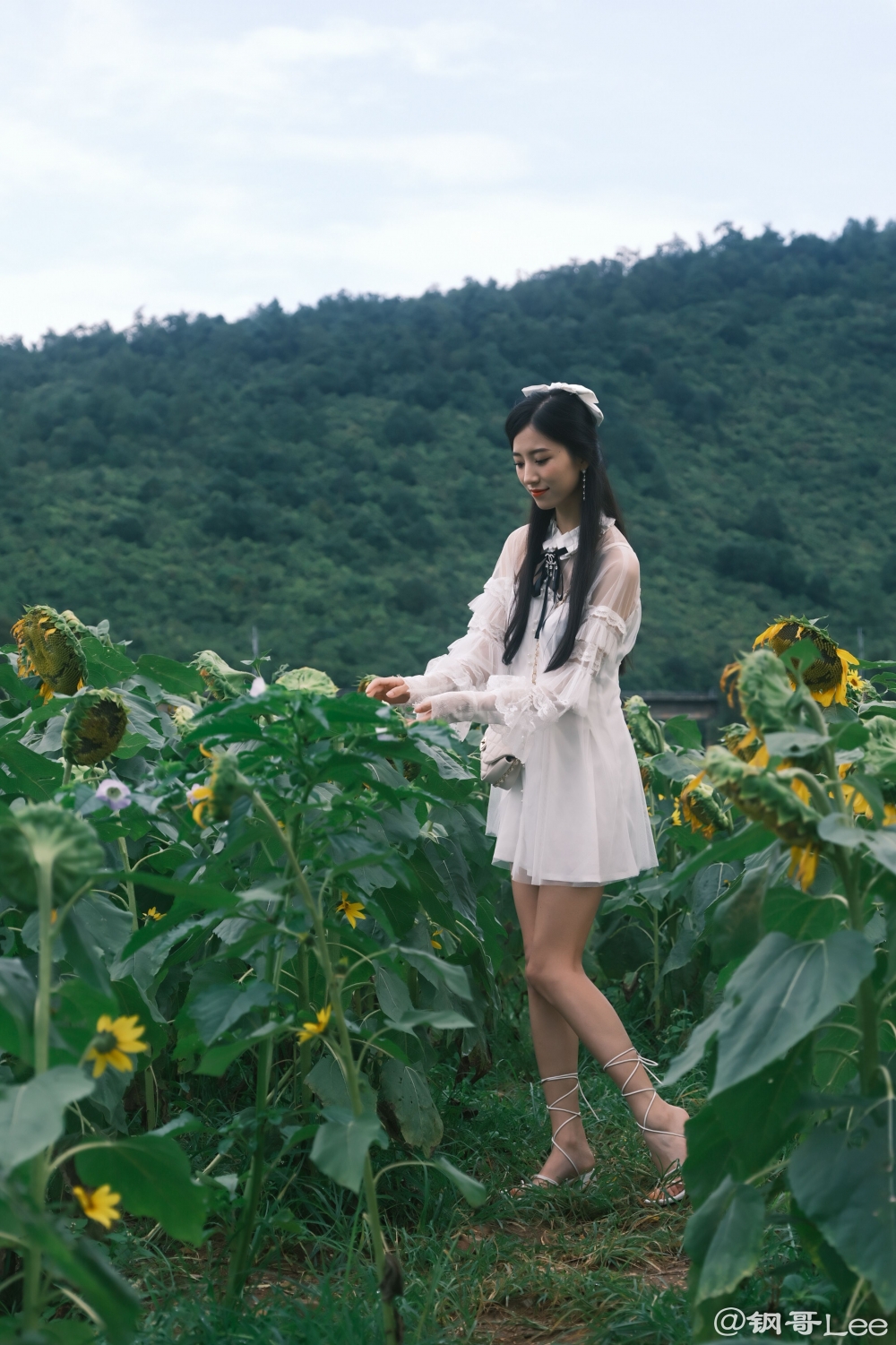 小清新 - 钢哥_Pxd - 富士胶片影赛- FUJIFILM