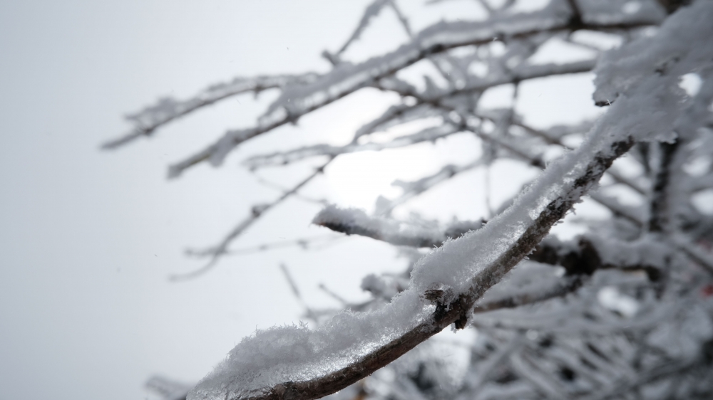 雪与雾 - Z_mcu - 富士（中国）极致影像- FUJIFILM