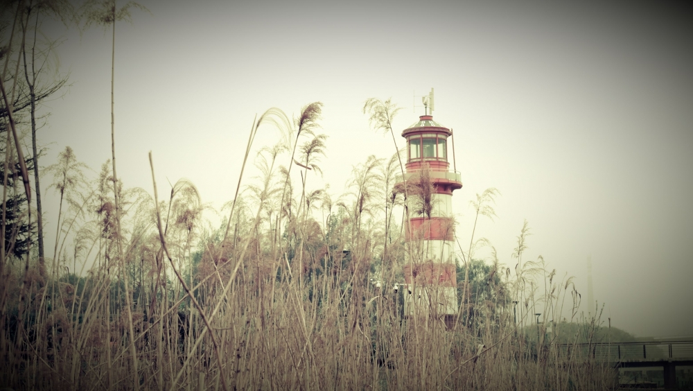 初秋，午后 - Z_mcu - 富士（中国）极致影像- FUJIFILM