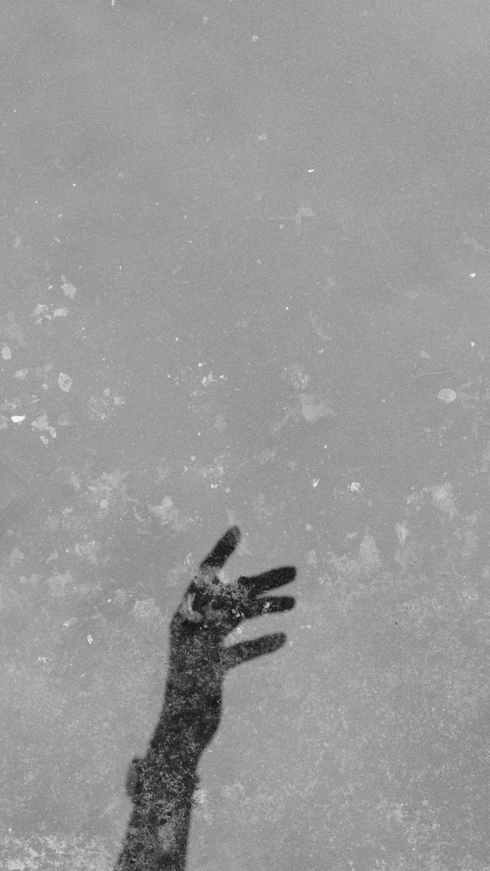 触 - jd. - 富士胶片影赛- FUJIFILM