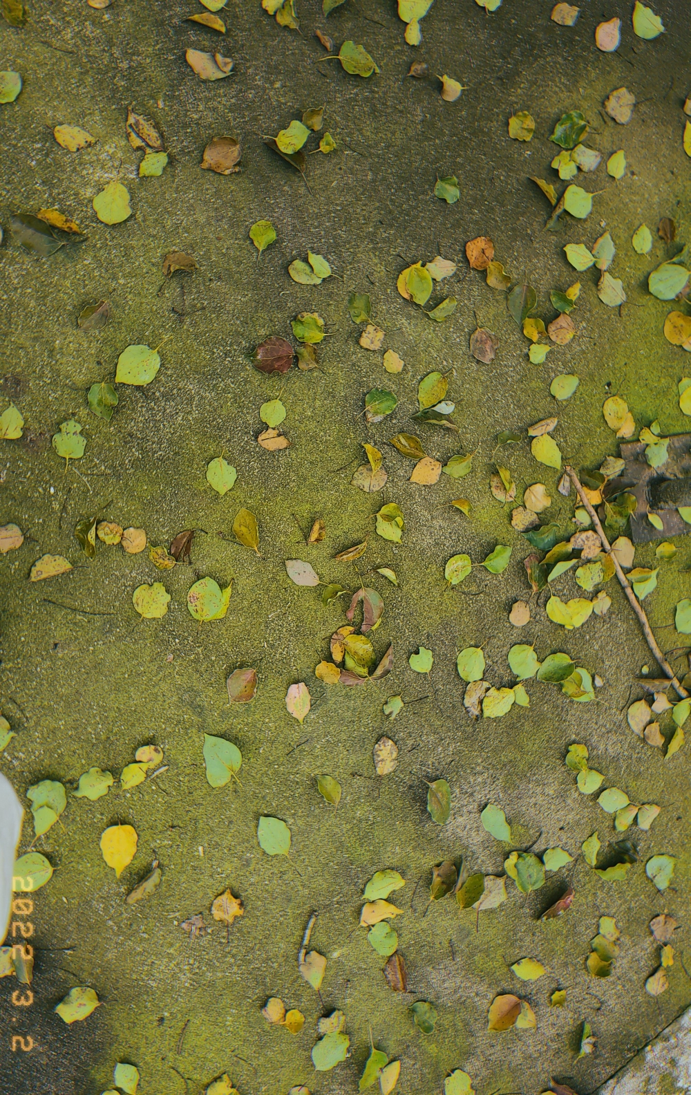 定格 - 热忱_ovJ - 富士（中国）极致影像- FUJIFILM