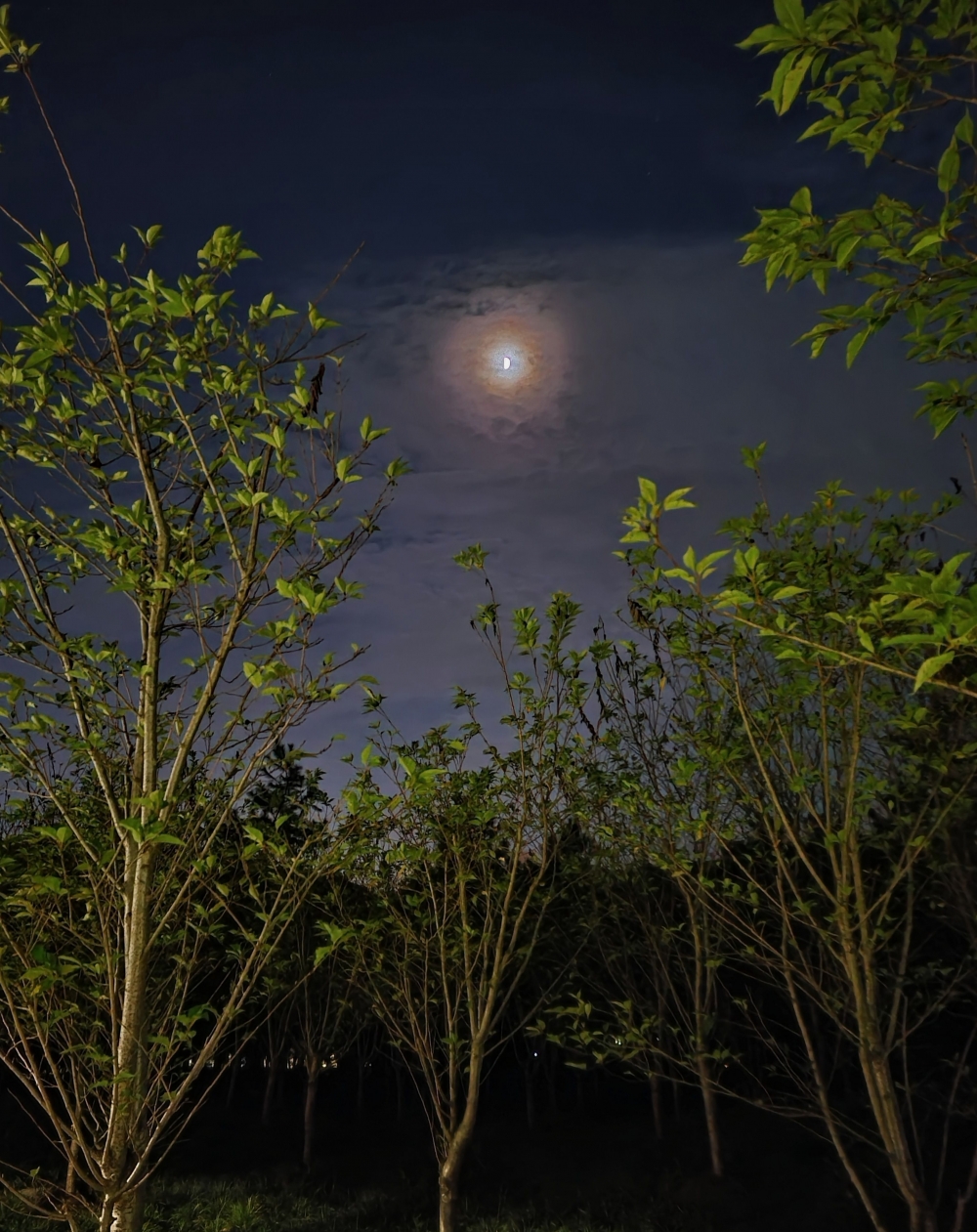 奇遇记 - 热忱_ovJ - 富士胶片影赛- FUJIFILM