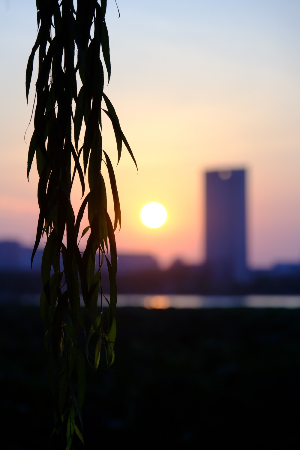 - Merlini. - 富士胶片影赛- FUJIFILM