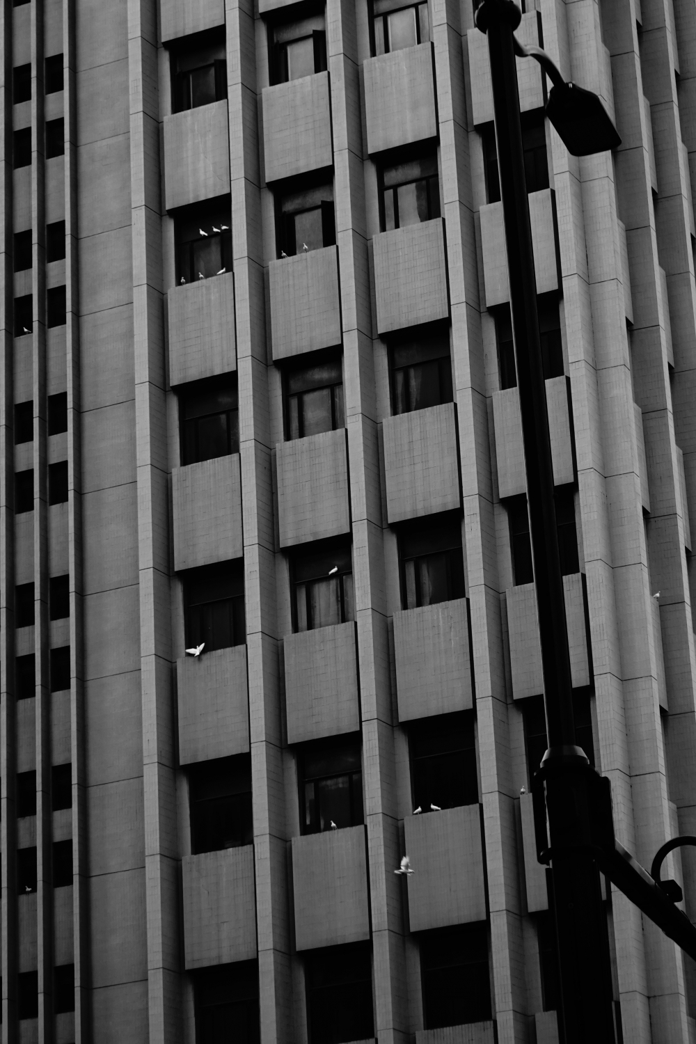 自由 - spman - 富士胶片影赛- FUJIFILM