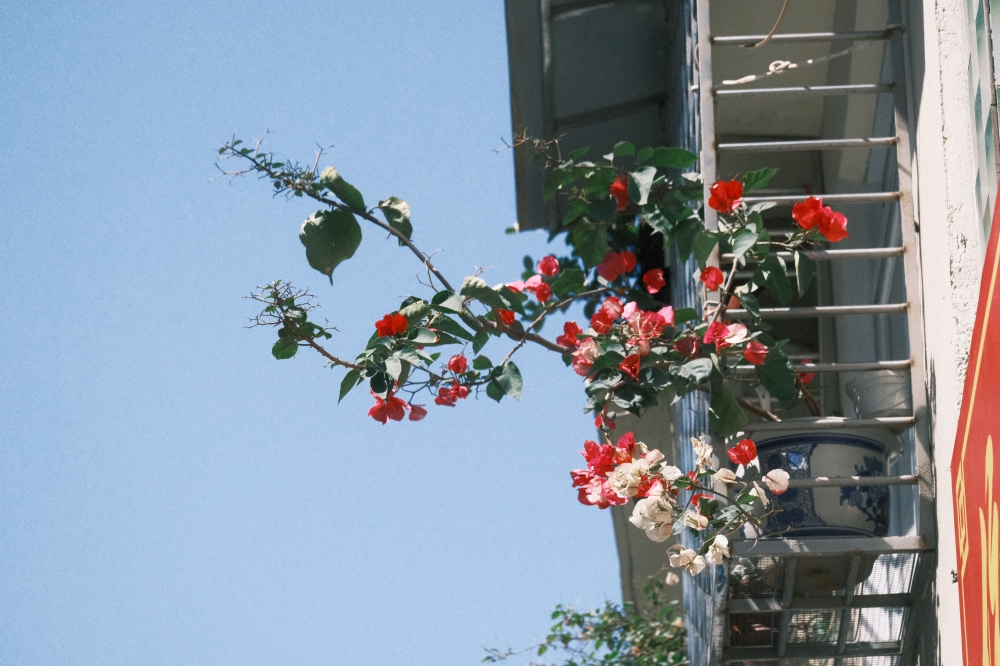 艺术沙坡尾 - Dusk.Ocean. - 富士胶片影赛- FUJIFILM