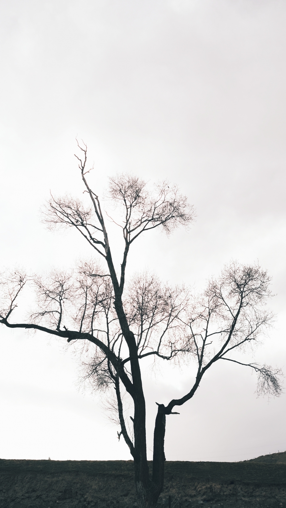 在青海 - Vincent_yOu - 富士胶片影赛- FUJIFILM