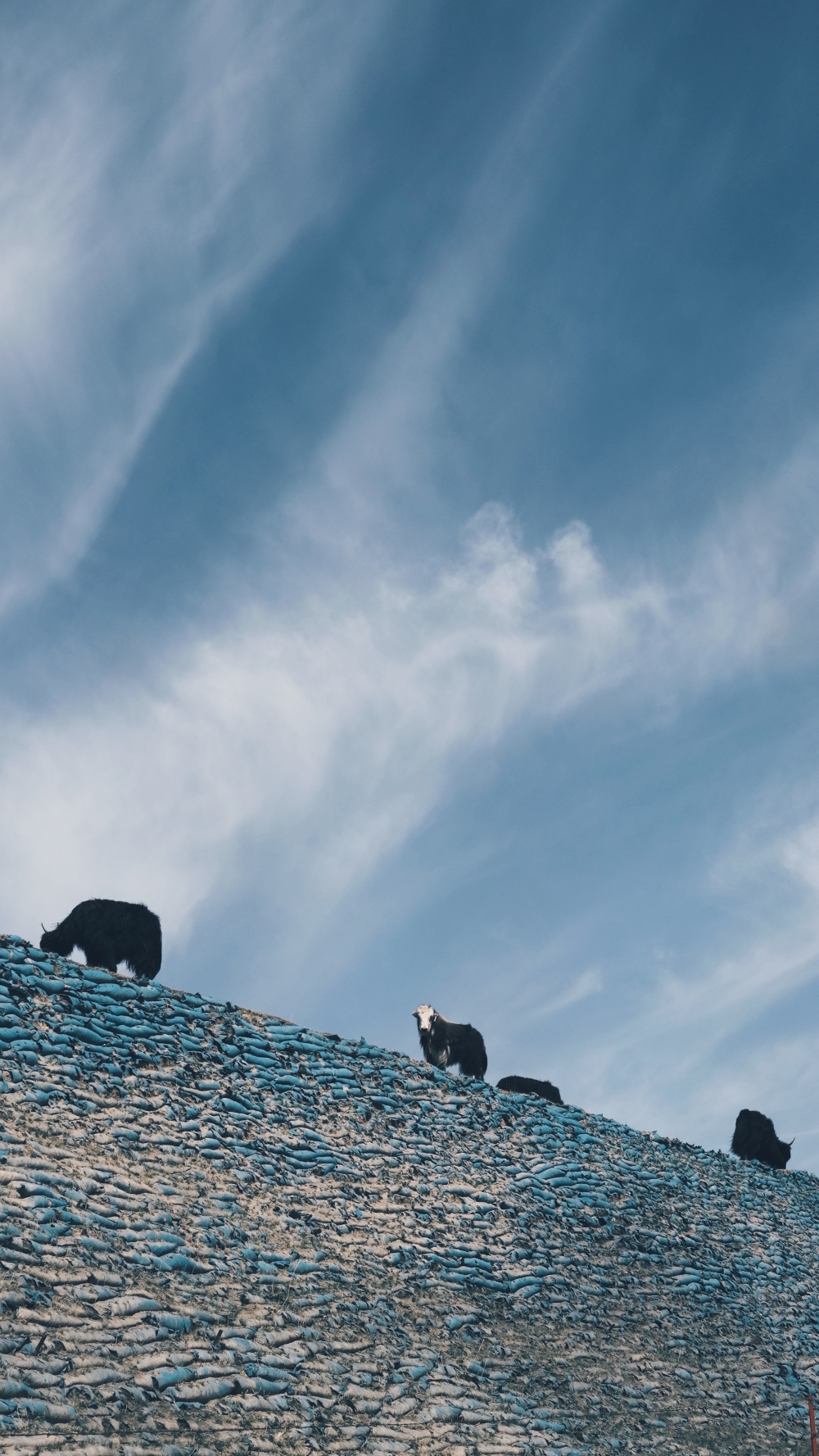 在青海 - Vincent_yOu - 富士胶片影赛- FUJIFILM