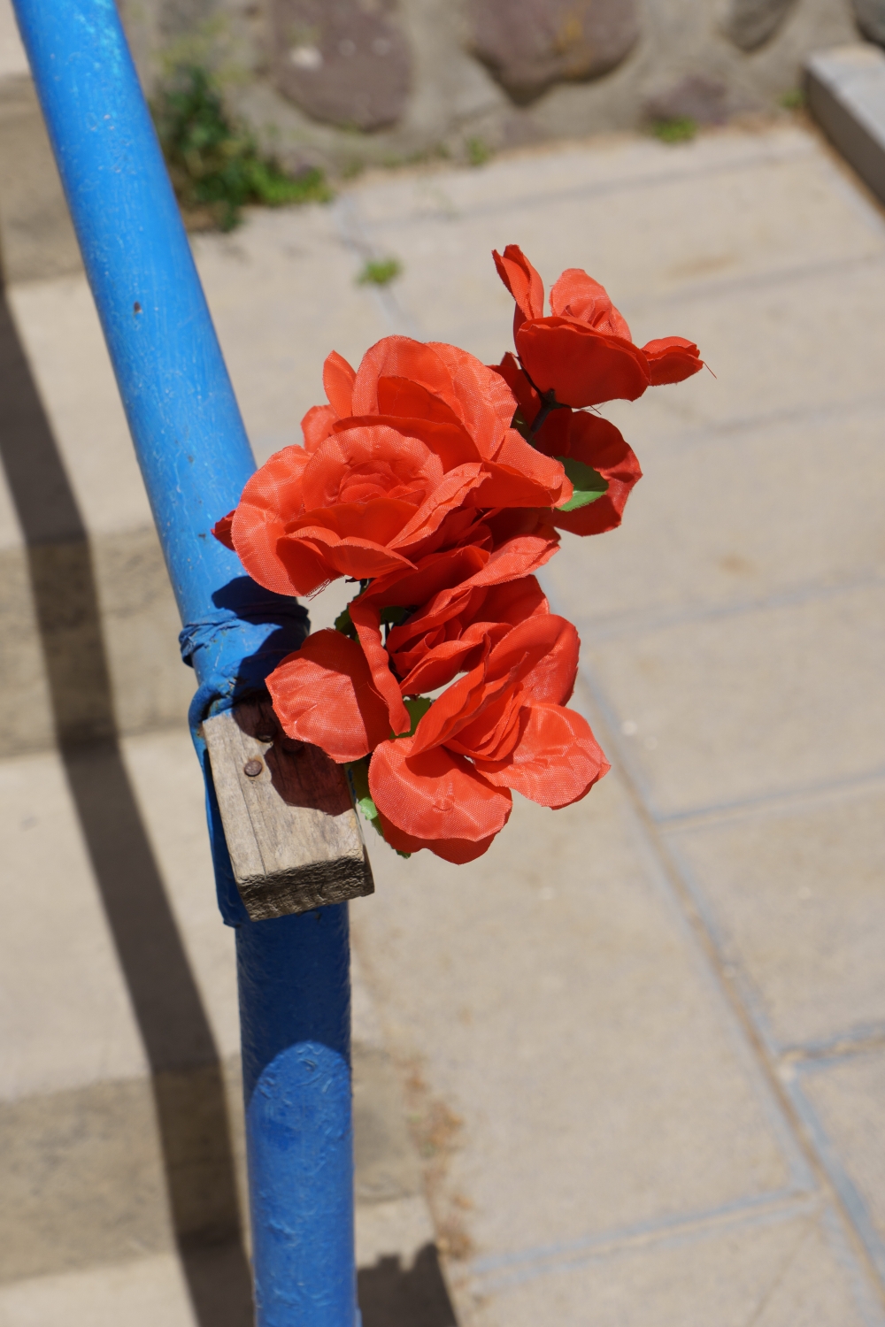 梦，河西 - Alex Xu - 富士胶片影赛- FUJIFILM