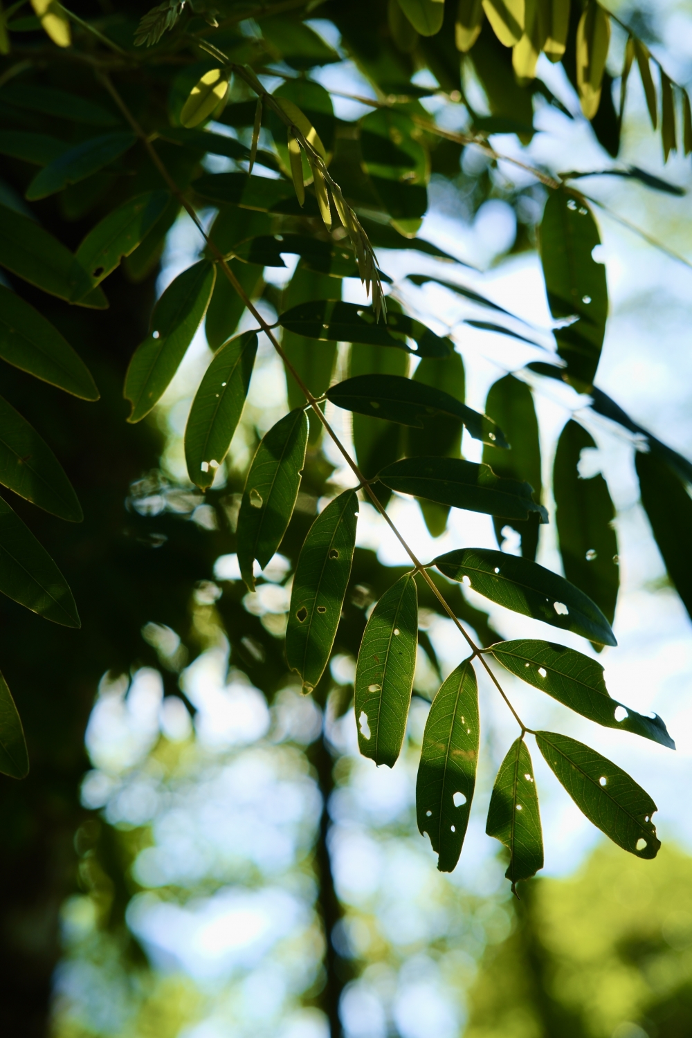 阳光下 - 也行_Ji4 - 富士胶片影赛- FUJIFILM