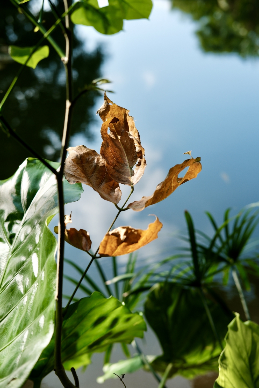 阳光下 - 也行_Ji4 - 富士（中国）极致影像- FUJIFILM