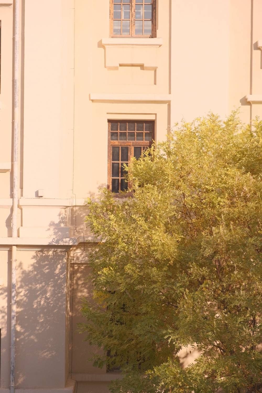 蓓蕾干果 - Lllh - 富士胶片影赛- FUJIFILM