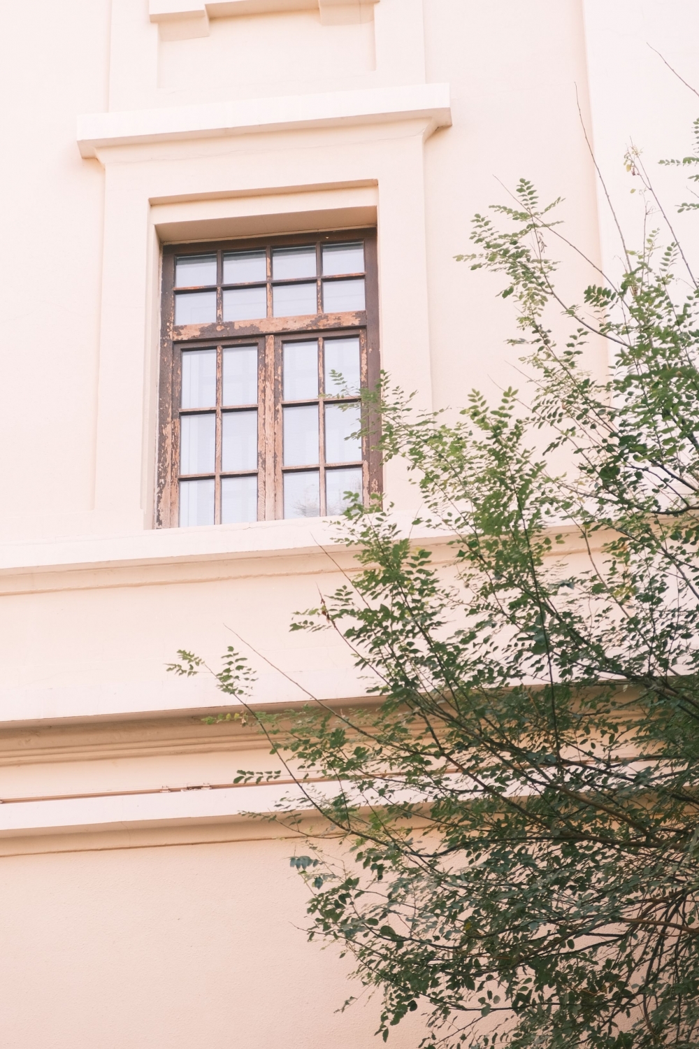 蓓蕾干果 - Lllh - 富士胶片影赛- FUJIFILM