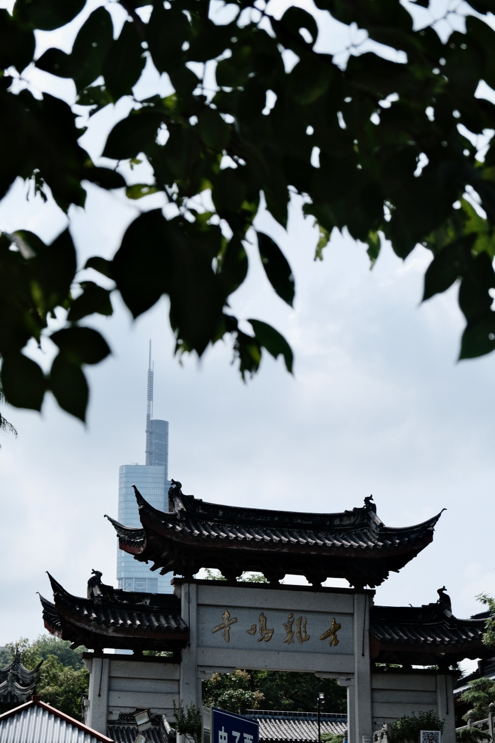 年级轻轻拍荷花 - Lu sen.鹿森烘焙 - 富士胶片影赛- FUJIFILM