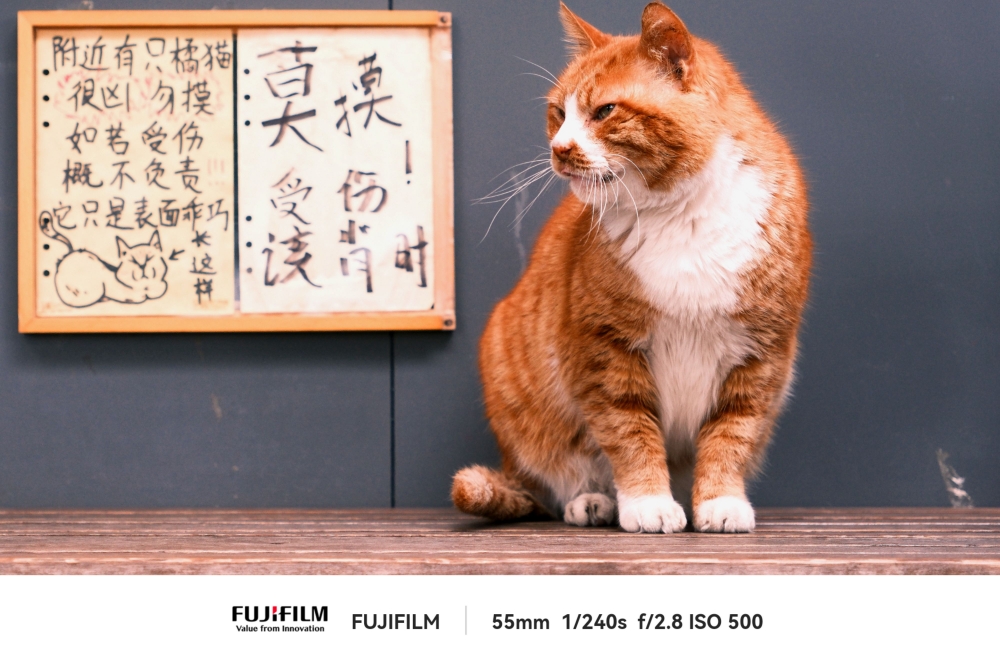 山城 - Mr.Hui - 富士胶片影赛- FUJIFILM